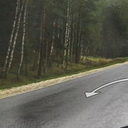 Тест разворот — Шаг 5 — Stepik