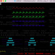 Примеры работы с Docker — Шаг 1 — Stepik